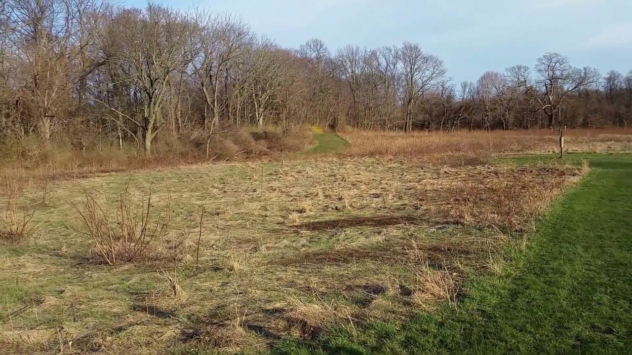 Uplands Farm Sanctuary - YouTube