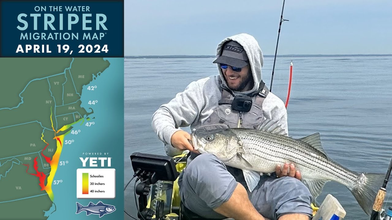 Striper Migration Report | April 19, 2024 - YouTube