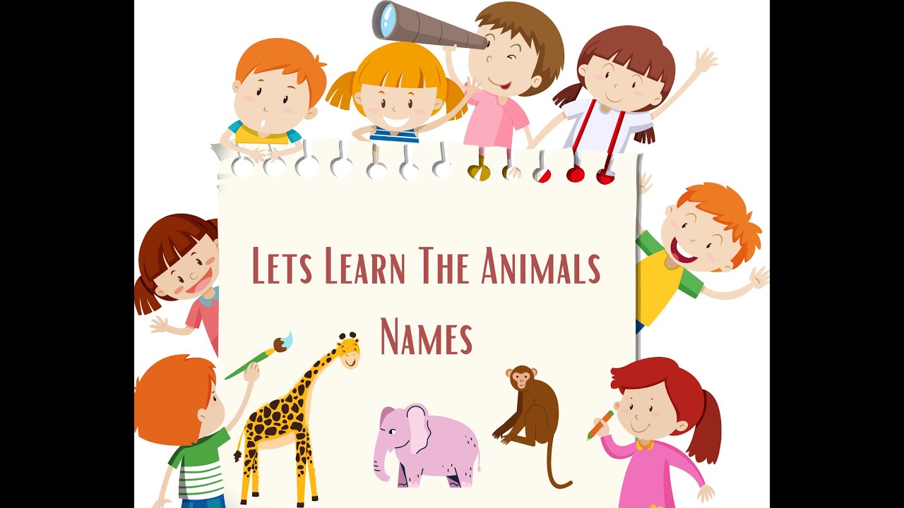 Animals names |kids cartoons | animated cartoons | new cartoons | kids ...