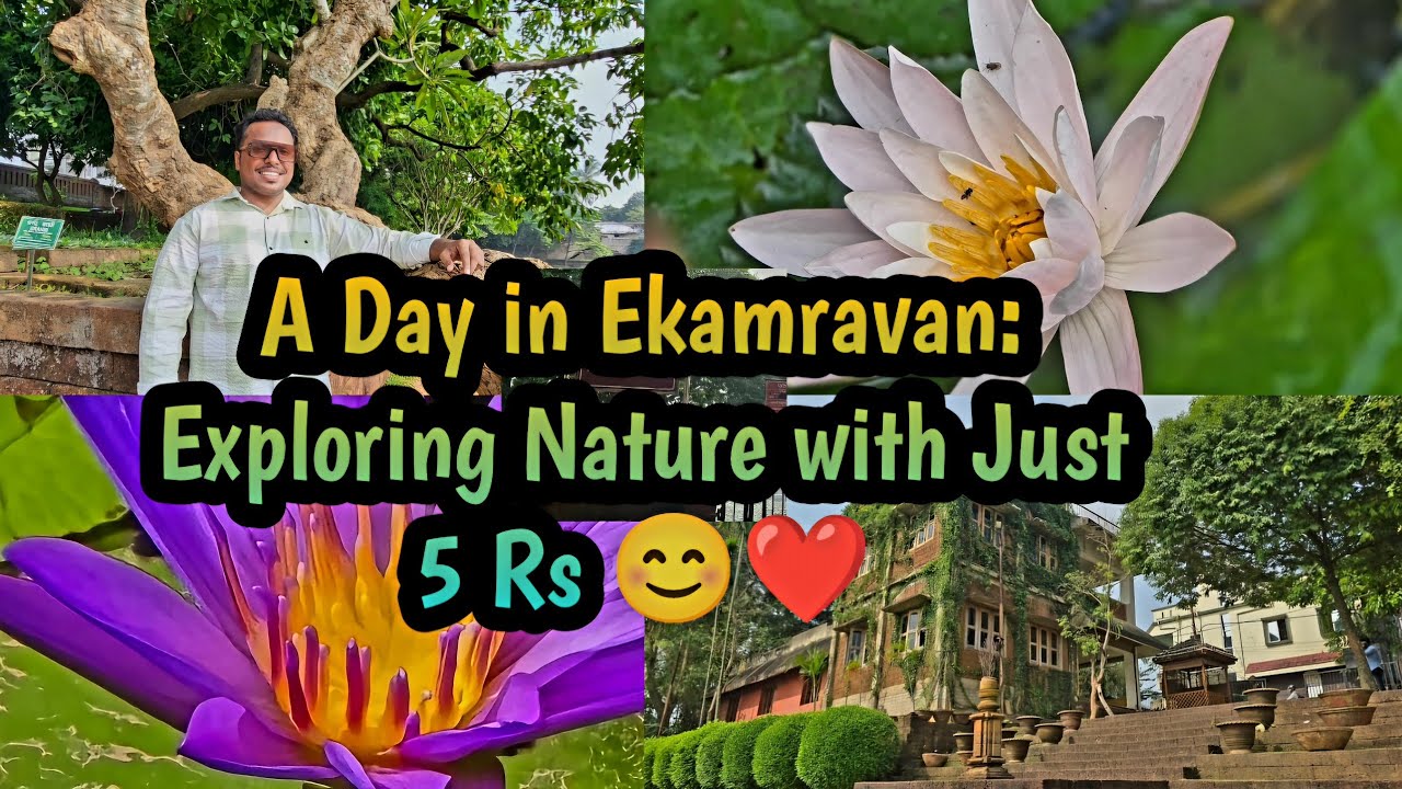 A Day in Ekamravan: Exploring Nature with Just 5 Rs 😊 ️ #janmajayavlogs ...