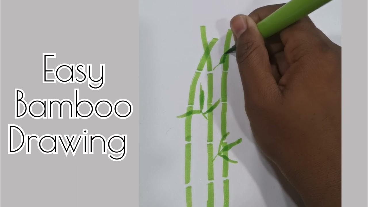How to draw bamboo tree / Bamboo Tree Drawing - YouTube
