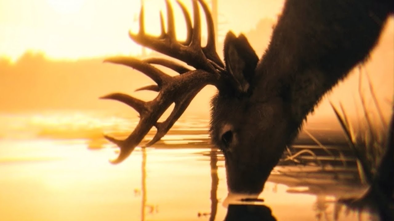 Josh Homme - Cruel World (RDR2) [แปลไทย] - YouTube