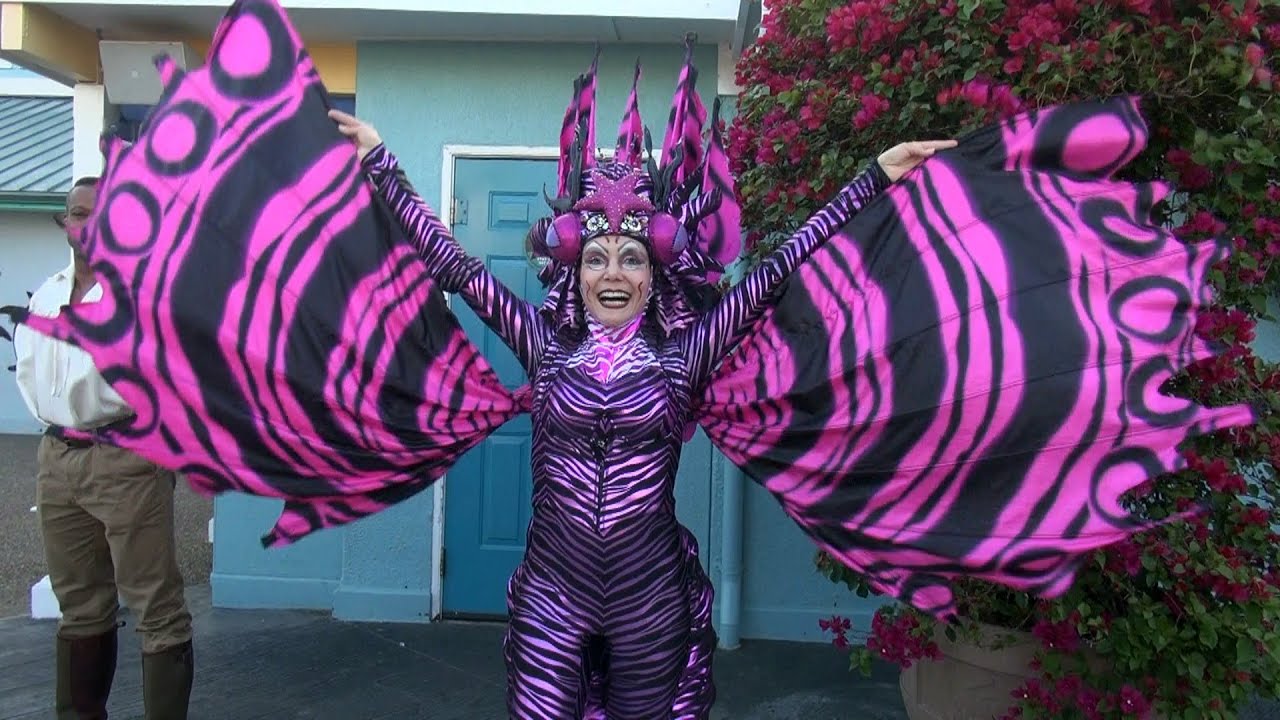 SeaWorld Orlando 50th Anniversary Celebration SEA OF SURPRISES ...