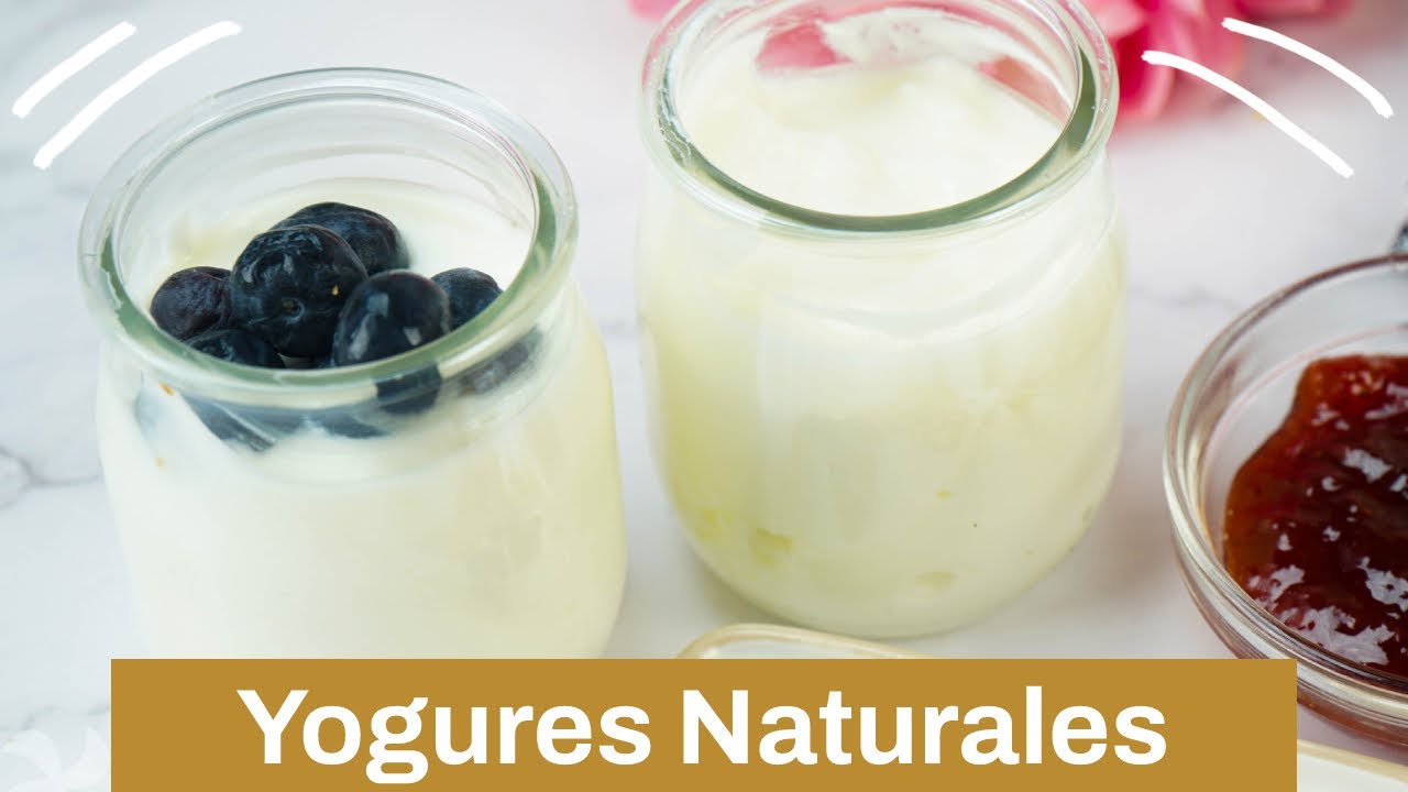 Yogures naturales caseros ¡Riquísimos! - YouTube