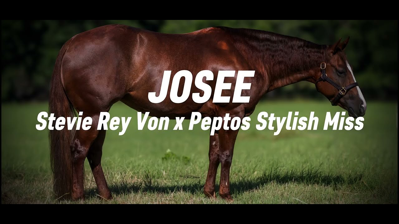 Josee - YouTube