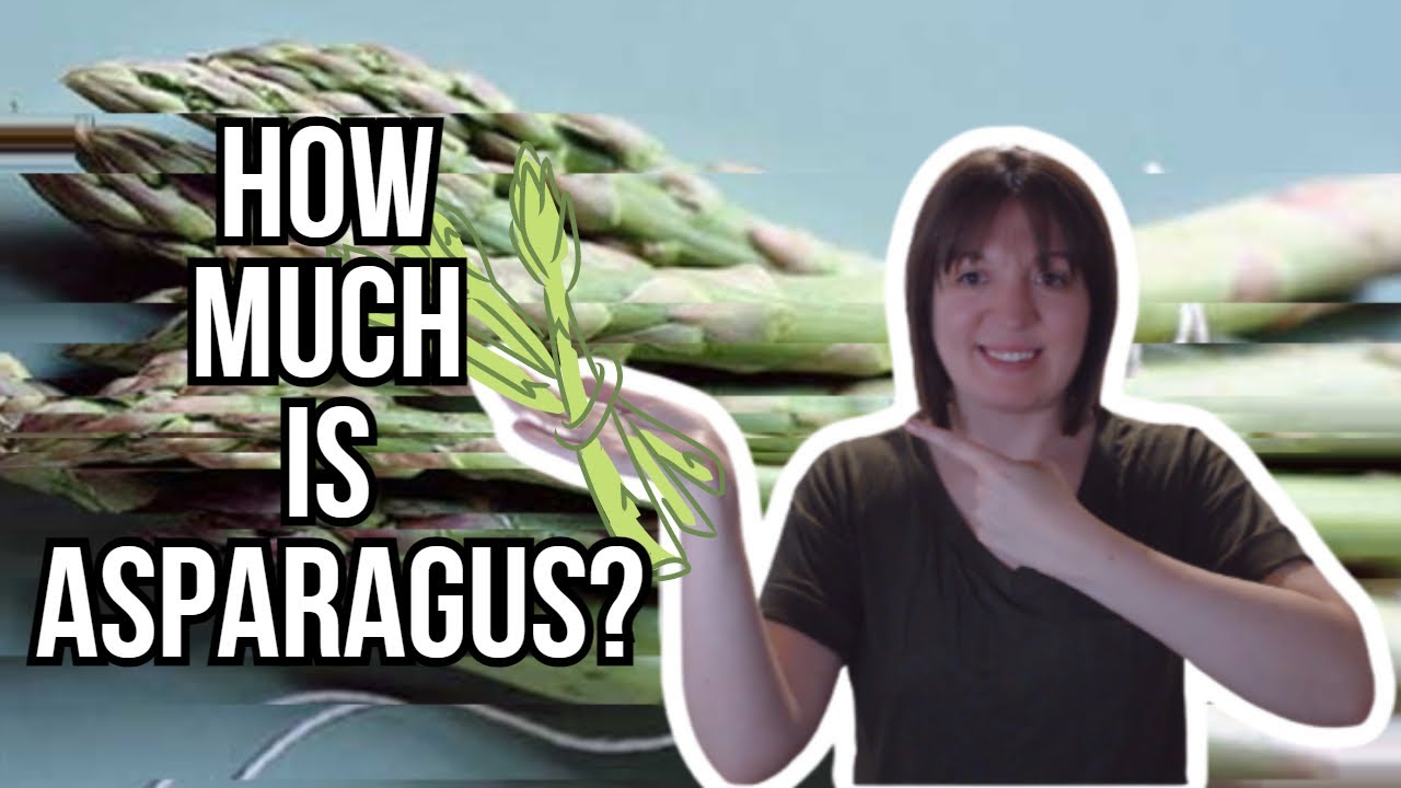 HOW TO GET THE "NUMBER SIX" AVATAR ON NEOPETS IN 2021! 💰 (Rare Neopets ...