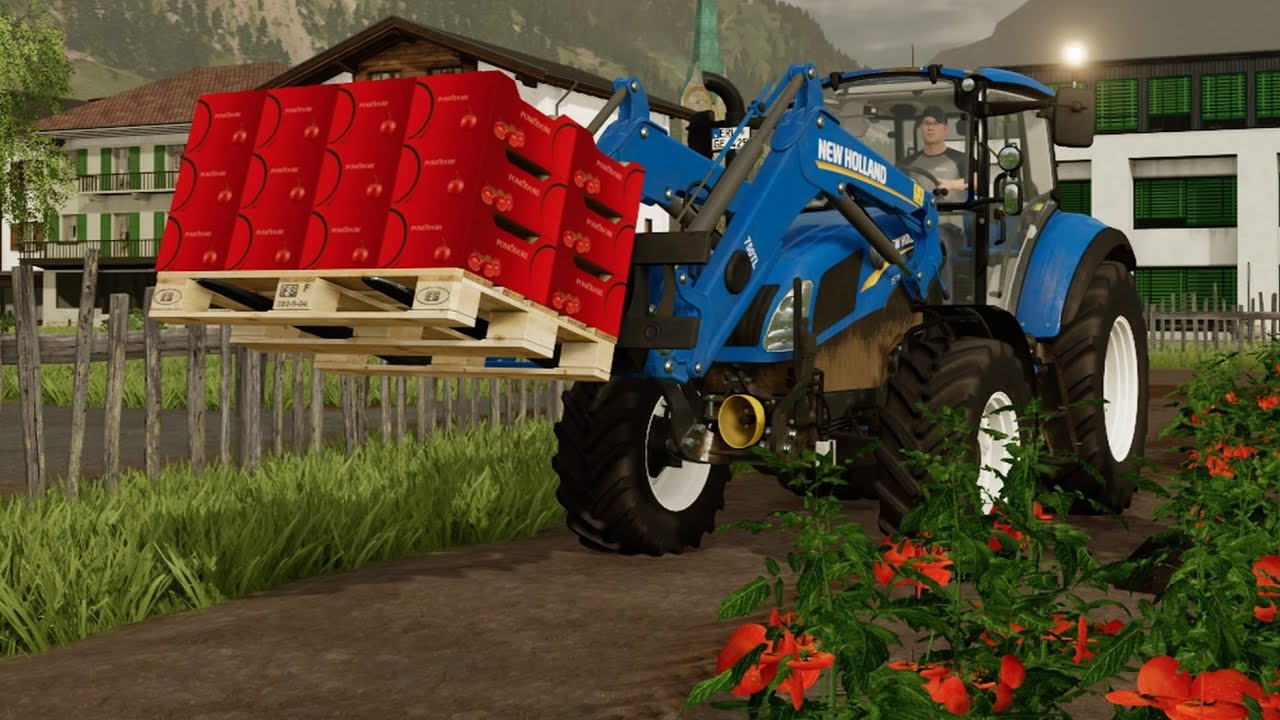 Erlengrat Projekt #41 Tomaten ein Lagern - YouTube