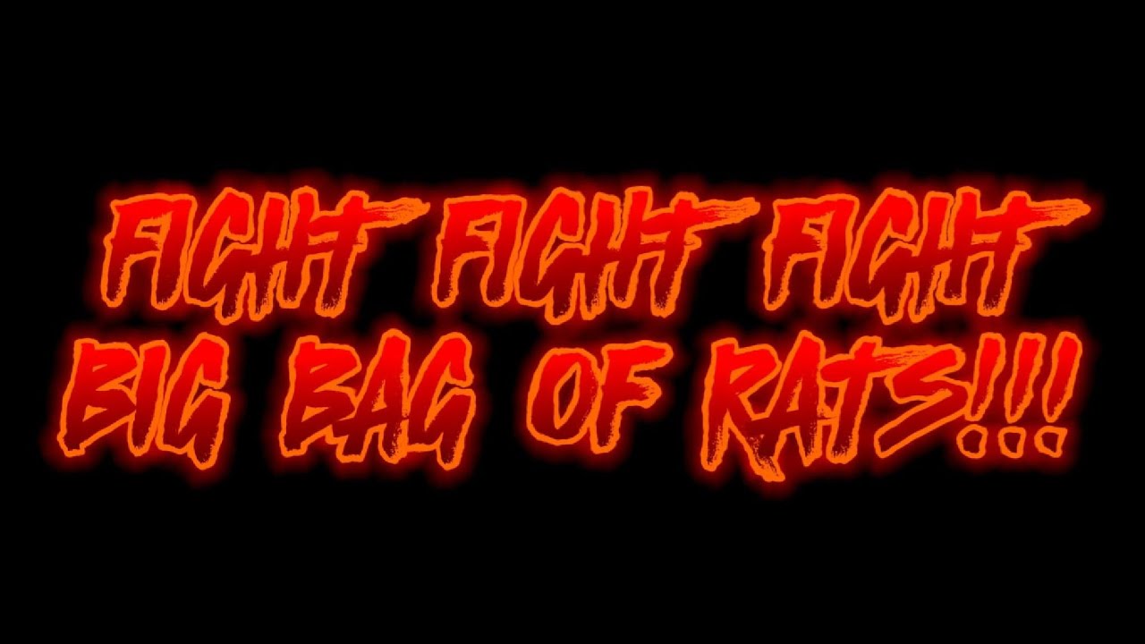 FIGHT FIGHT FIGHT BIG BAG OF RATS!!! Inspired by The Stephanie Miller ...