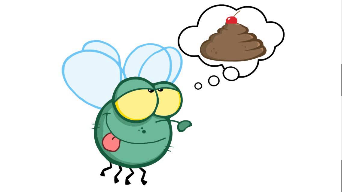 Cómo dibujar una mosca soñando con un poo - YouTube
