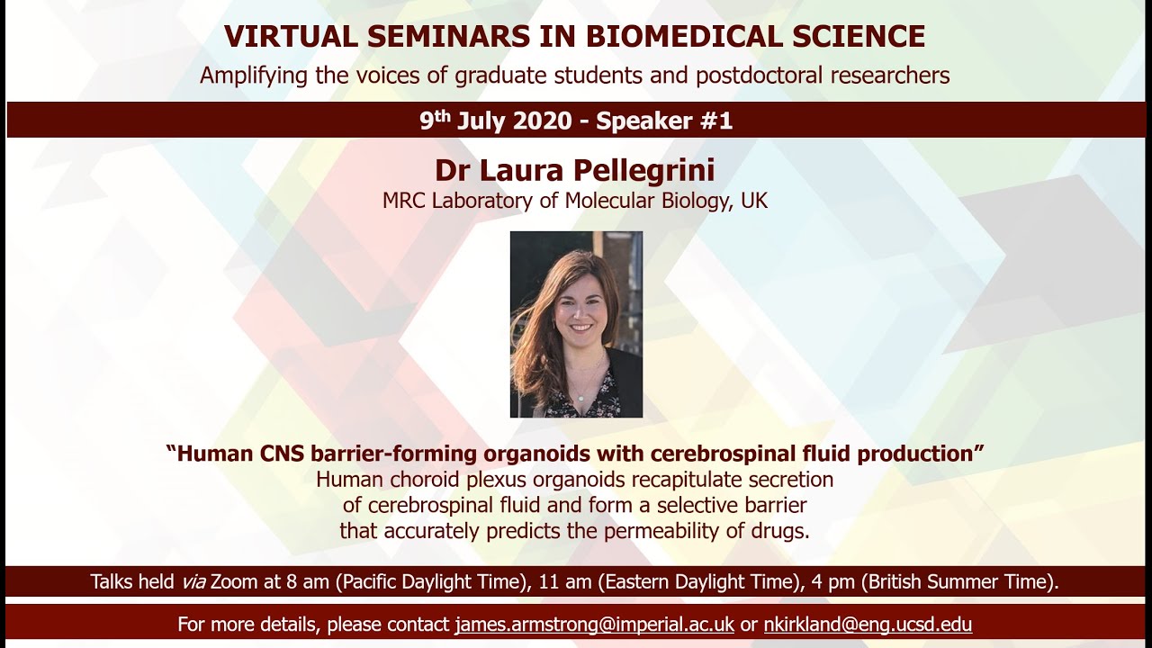 Dr Laura Pellegrini: Human CNS barrier-forming organoids with CSF ...