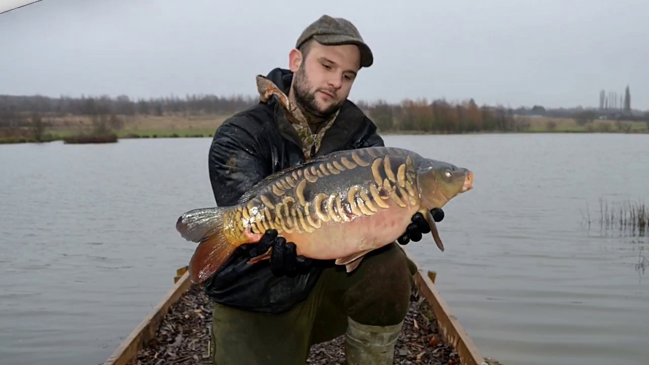 Frontfish Stocking At Spring Cottage Fisheries January 2018 - YouTube