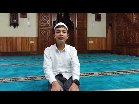 Para Puldur Gelir Geçer Yan Derdine Deli Gönül ( Boyabatın bülbülü Murat Efe Işık )