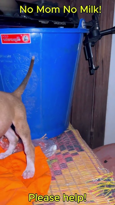 0403 1 058 - YouTube