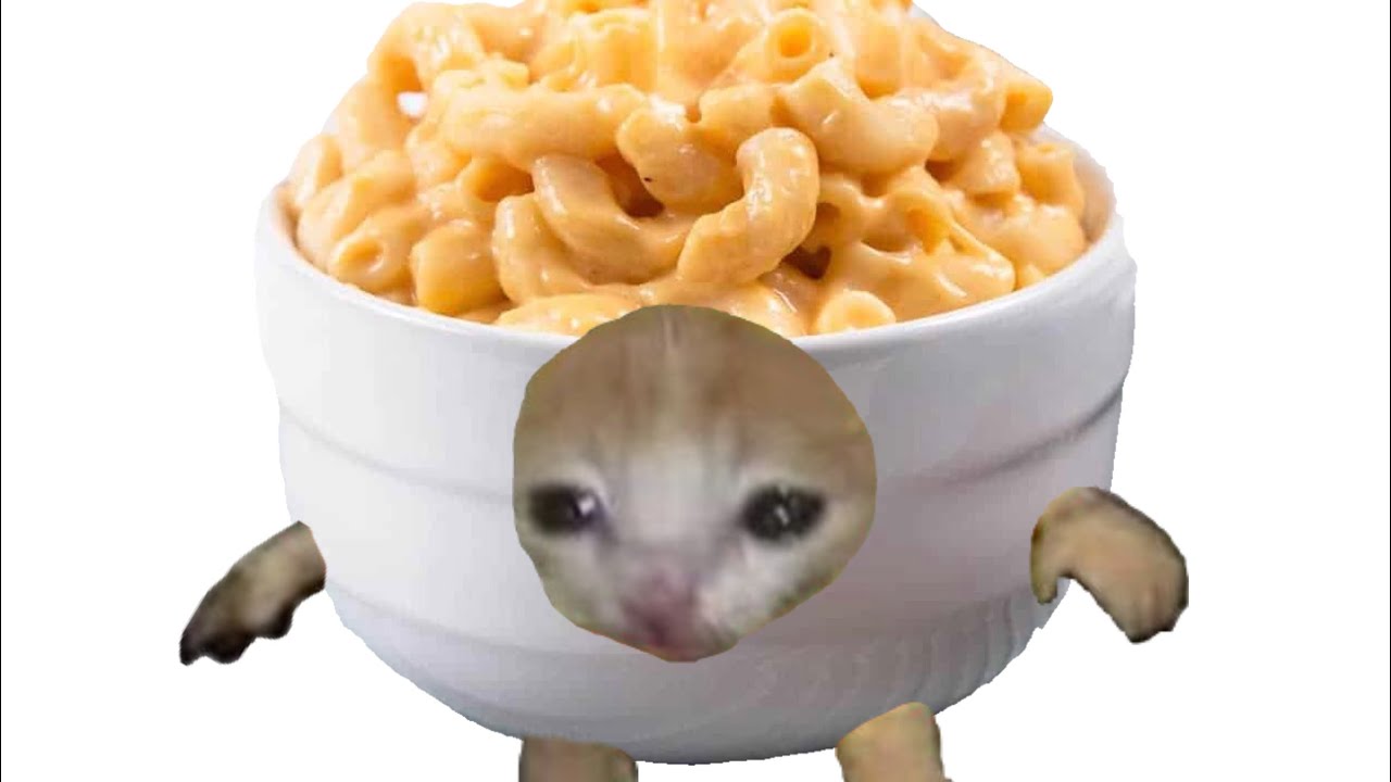 Perfectly cut memes compilation - YouTube