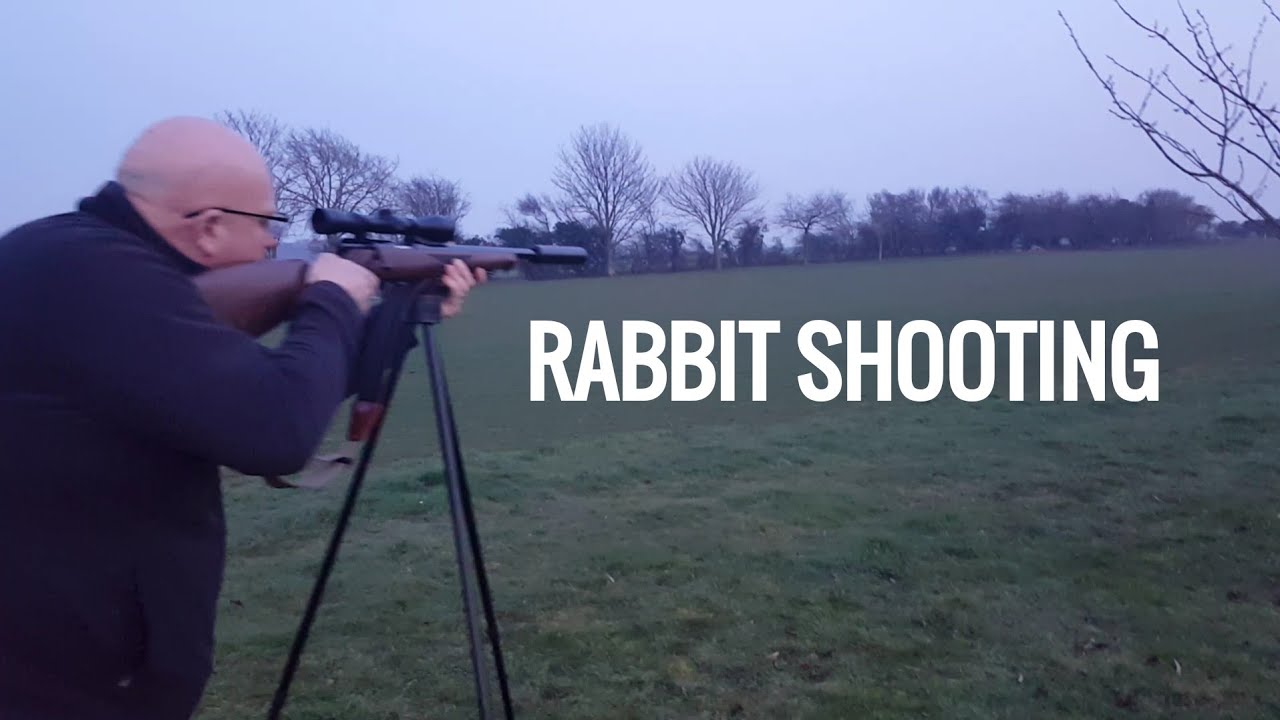 Rabbit Shooting - YouTube