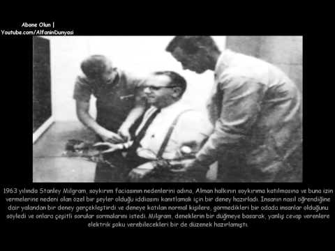 Vahşetle Sonuçlanmış  Şokla İzleyeceğiniz 8 Korkunç Deneyler!