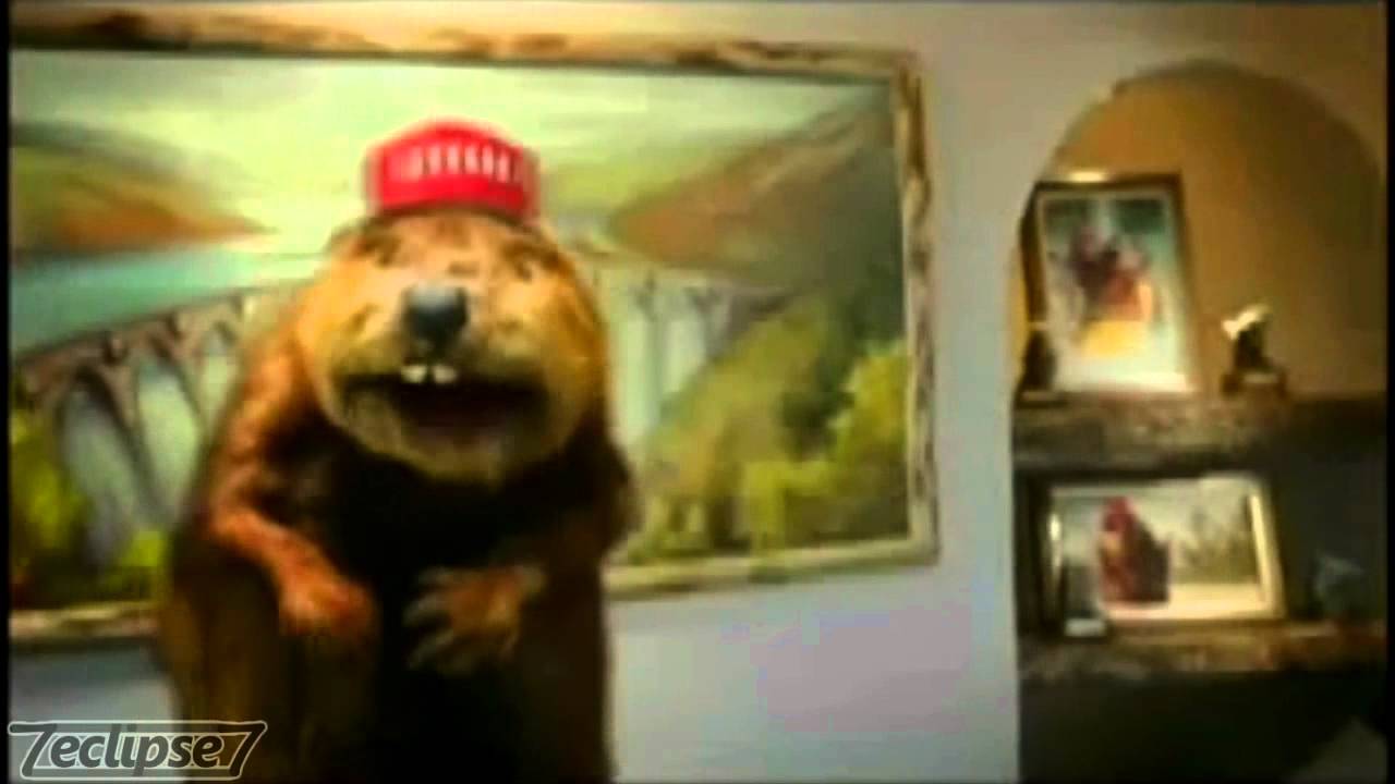 Netflix Beaver Dub Version - YouTube