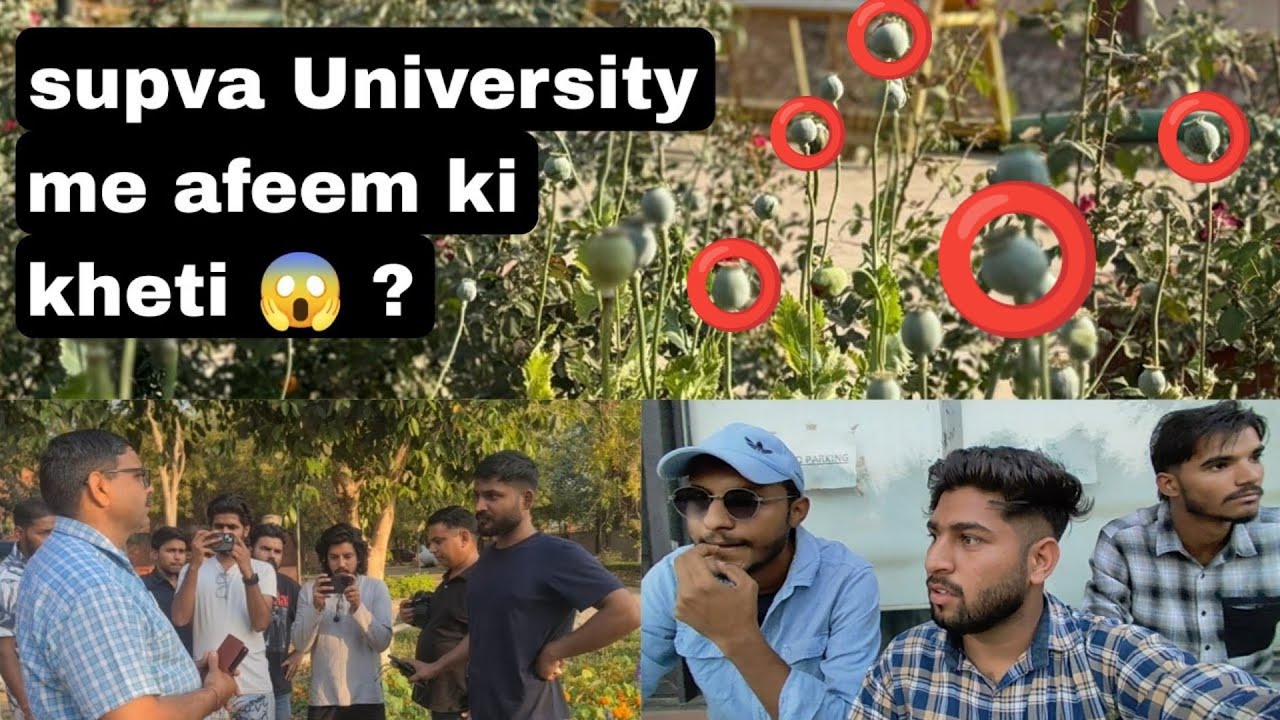 Dlc Supva university Rohtak me Afeem ki kheti 😱 ? || Film university ...