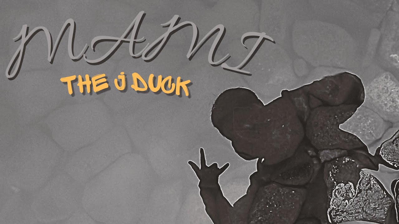 MAMI - The J Duck (video lyrics) - YouTube