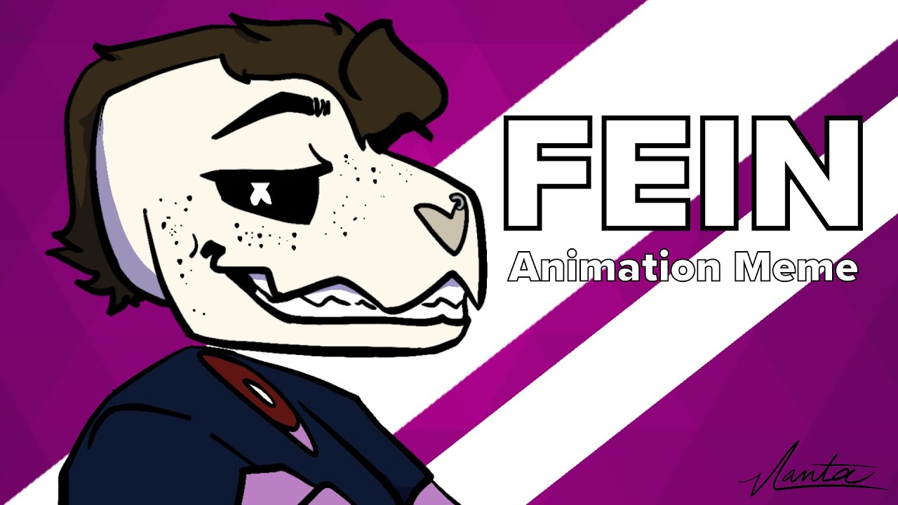 FEIN — Animation Meme - YouTube
