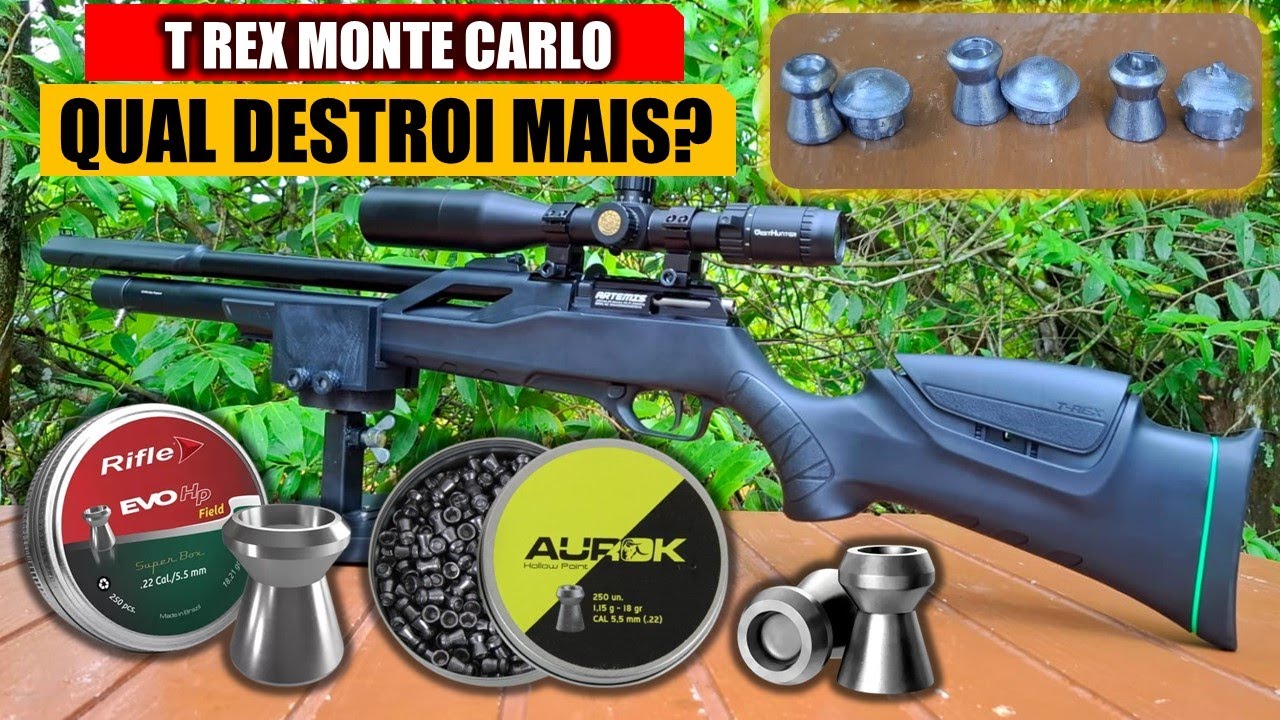 QUAL É O MELHOR? EVO HP, DESTROYER OU AUROK HOLLOW POINT ? TESTEI NA T ...