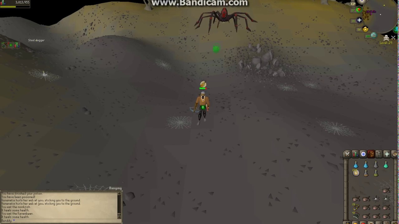 OSRS How to safespot venenatis - YouTube