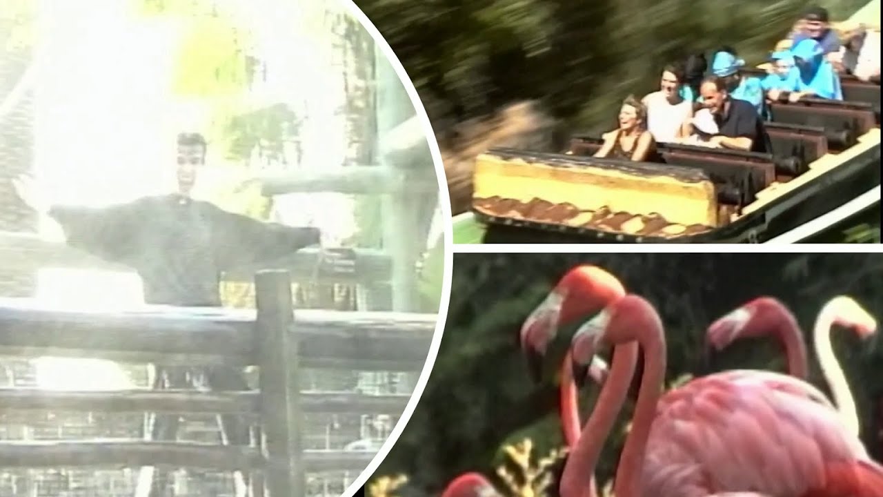 I GOT SOAKED on the Tanganyika Tidal Wave Splash Bridge at Busch ...