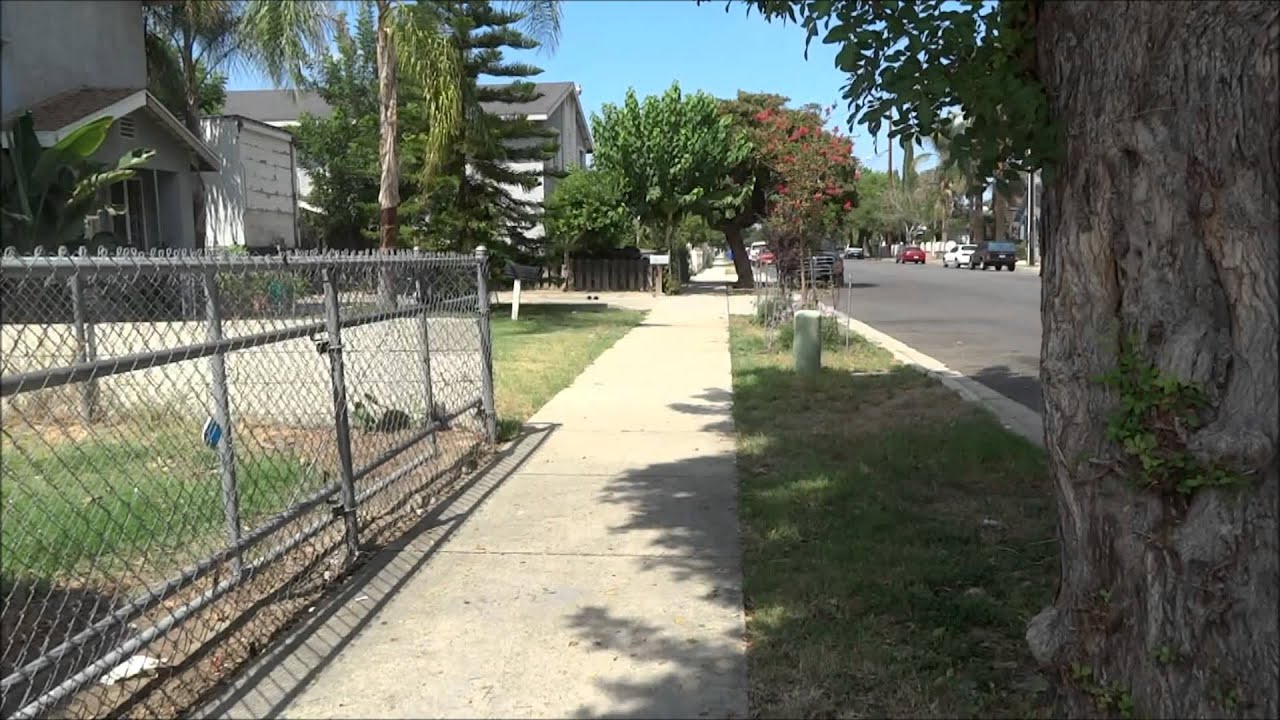 WATCH DOGS IN REAL LIFE - YouTube
