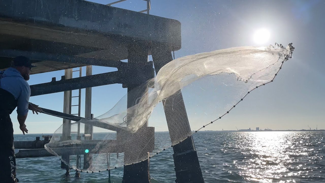 How to catch bait in Tampa Bay! - YouTube