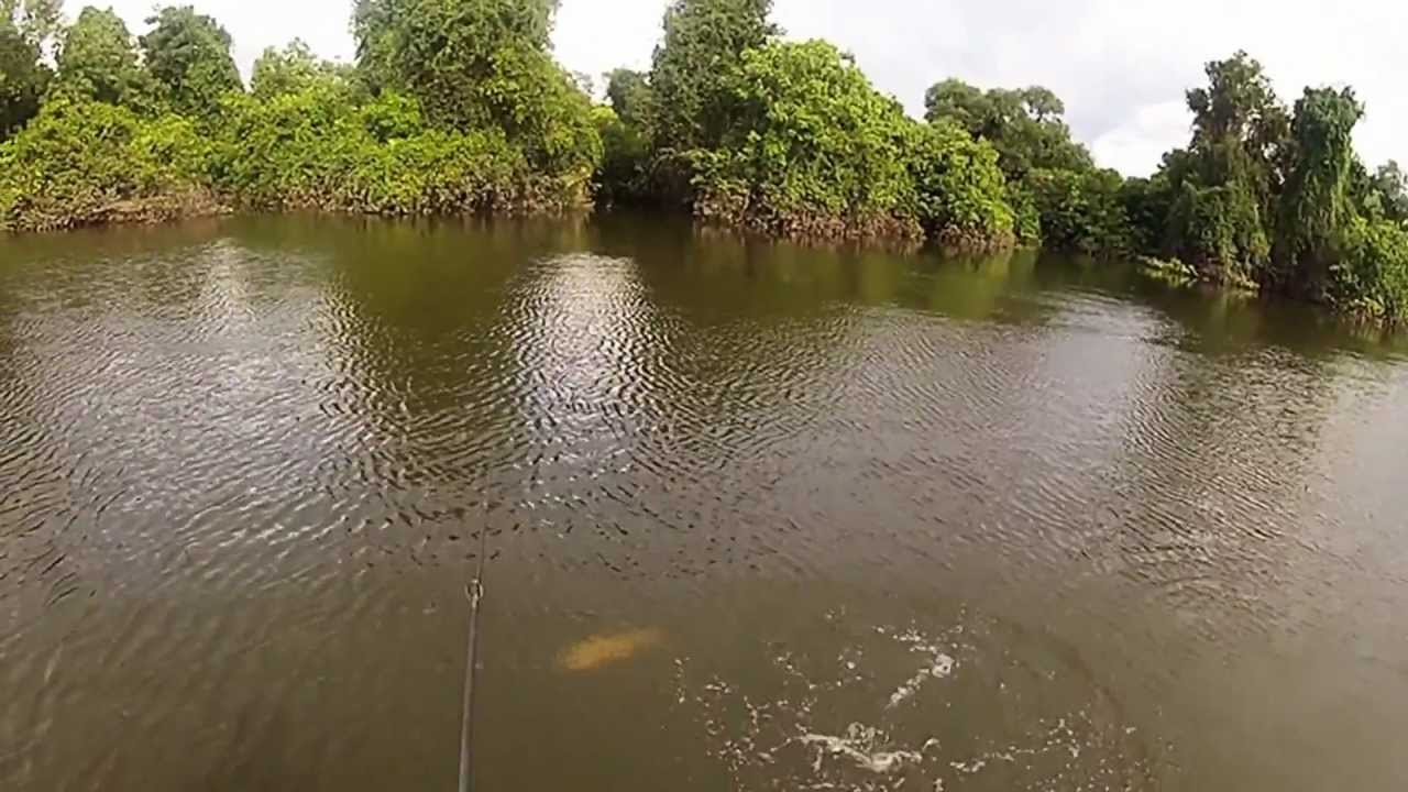 Pesca de Pavon Cinaruco Apure 2012 - YouTube