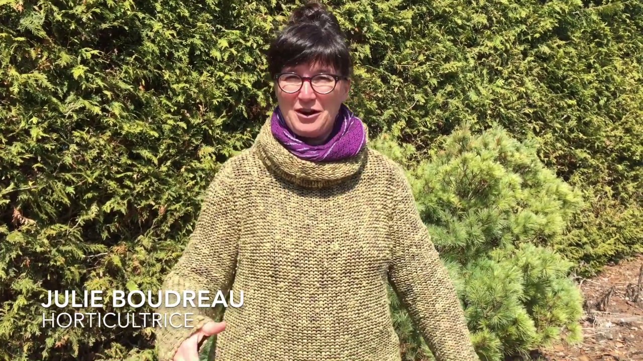 Capsule horticole - Julie Boudreau - YouTube