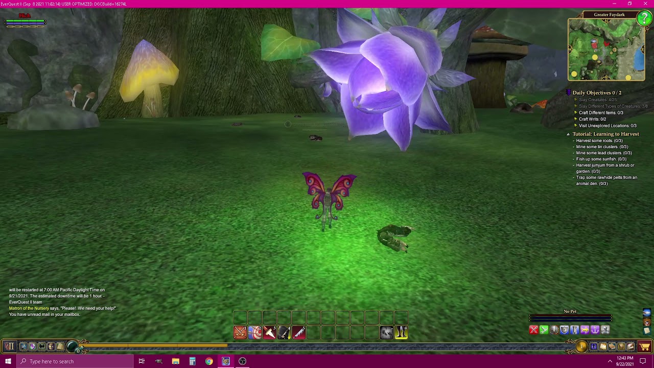 Everquest II GamePlay Rogue Action - YouTube