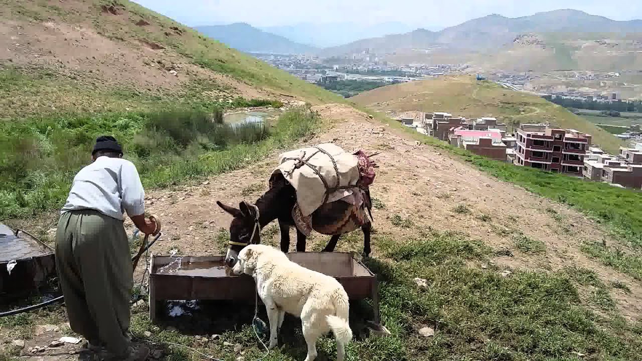 Mahabad City (A nice view of Mahabad from the top) - YouTube