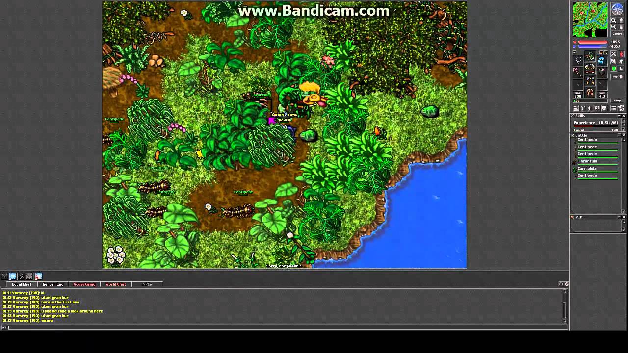Tibia (Varsrey's Adventures) How do I check midnight panther - YouTube