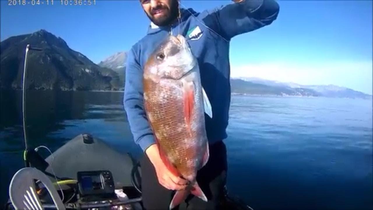 ΨΑΡΕΜΑ ΣΤΟ ΑΙΓΑΙΟ...! ΕΝΑ ΩΡΑΙΟ ΦΑΓΚΡΙ! - YouTube