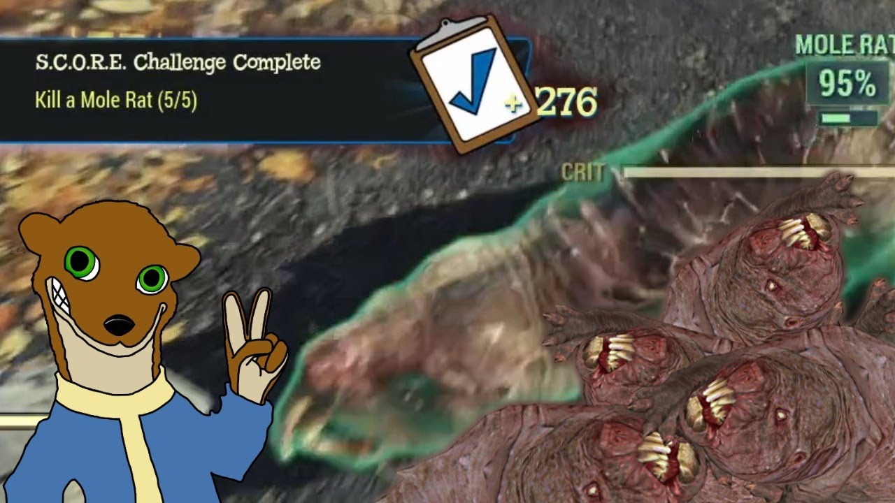 Fallout 76 Seasonal - Kill a Mole Rat (magyar) - YouTube