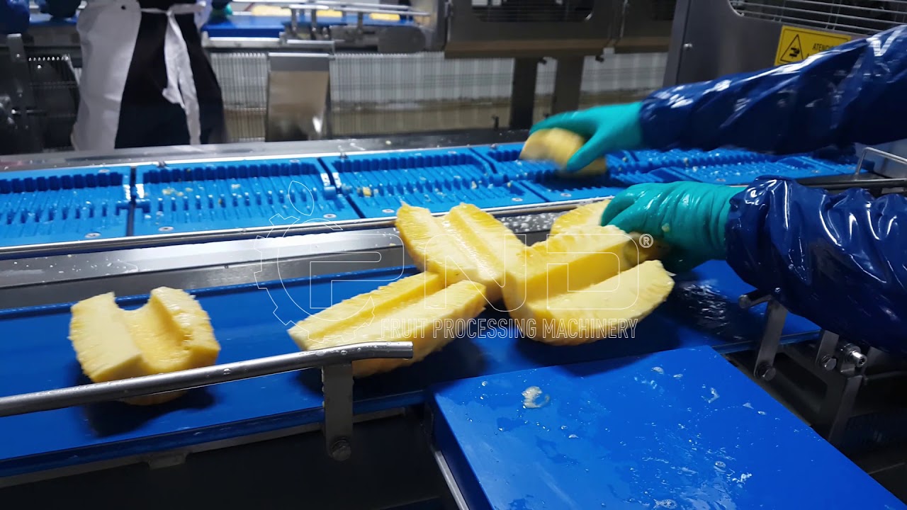 IQF PINEAPPLE PROCESSING LINE - YouTube