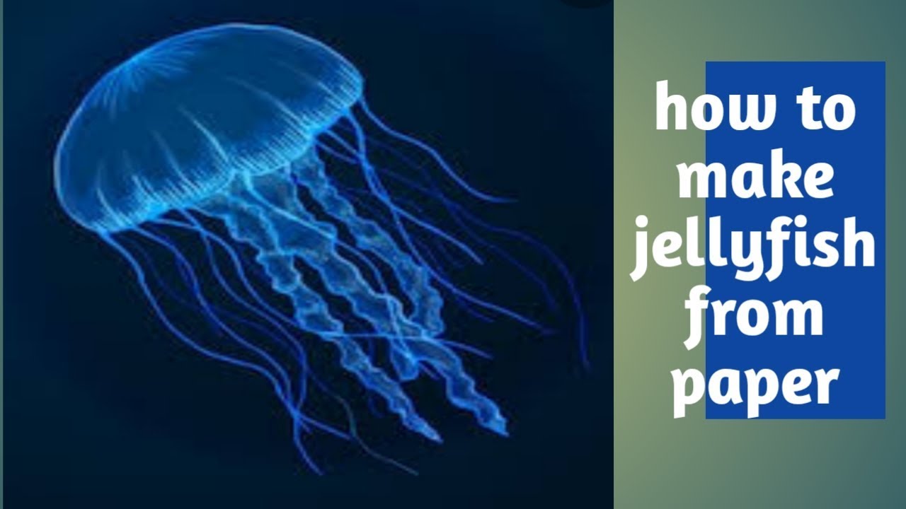 Making jellyfish activity for preschoolers/water animals /enhance ...