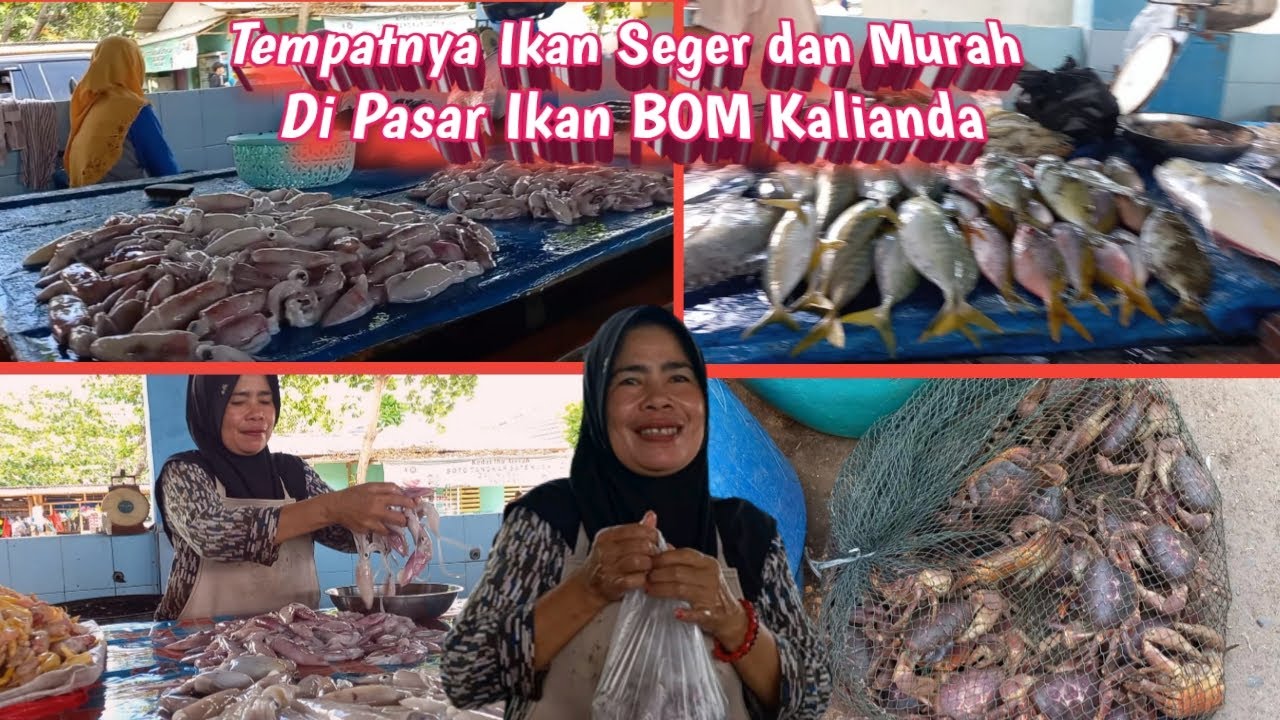 PELELANGAN IKAN SEGAR DERMAGA BOM KALIANDA || MURAH BANGET‼️FRESH FISH ...