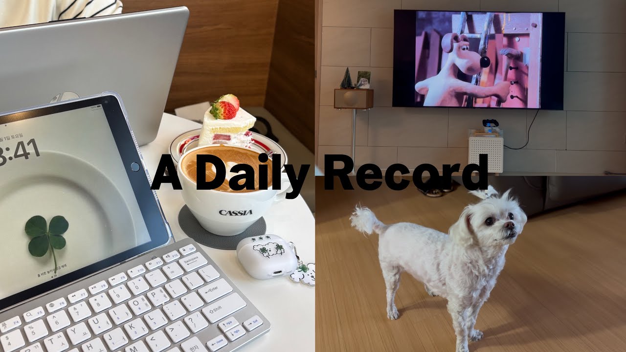 Vlog 6년차 직장인 일상ㅣ임신준비 시작ㅣ롯데백화점 퍼플등급 혜택맛보기ㅣ히트맨2ㅣ만두 빚기ㅣ락피쉬웨더웨어 브린스니커즈ㅣ인형
