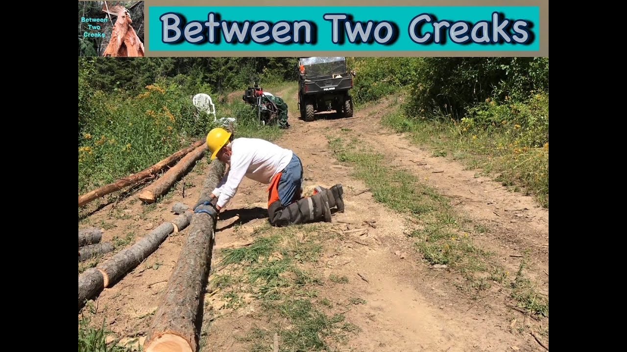 Pulling Logs to Log Yard and Cutting Log Rounds - YouTube