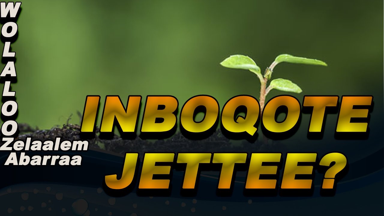 niboqote jettee? - YouTube
