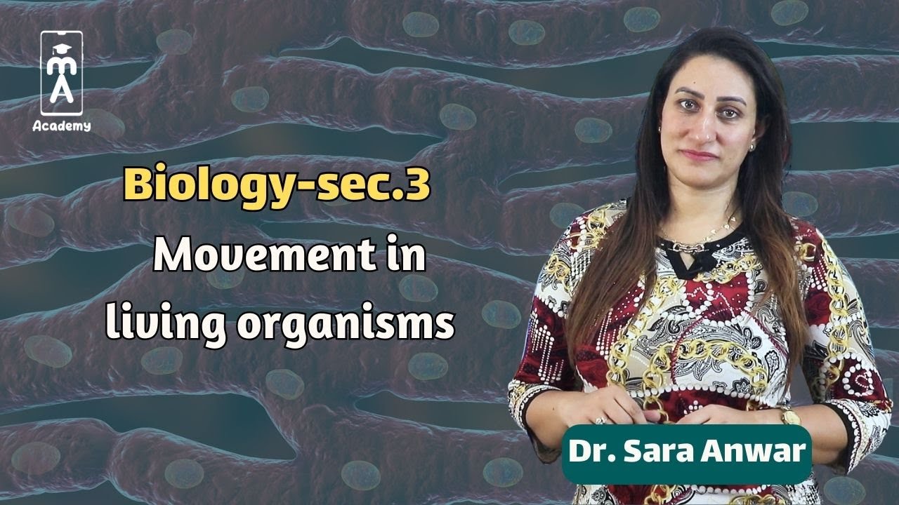 Biology-sec.3 | Movement in living organisms - YouTube