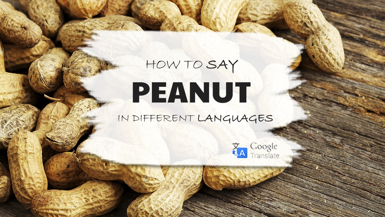 PEANUT FRUIT NAMES HOW TO SAY DIFFERENT LANGUAGES YouTube PEANUT FRUIT NAMES HOW TO SAY DIFFERENT LANGUAGES YouTube