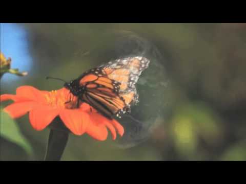 05-PROTYPO OIKOLOGIKIS POLIS