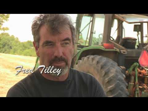 Moofest 2012 Tilley Farms - YouTube