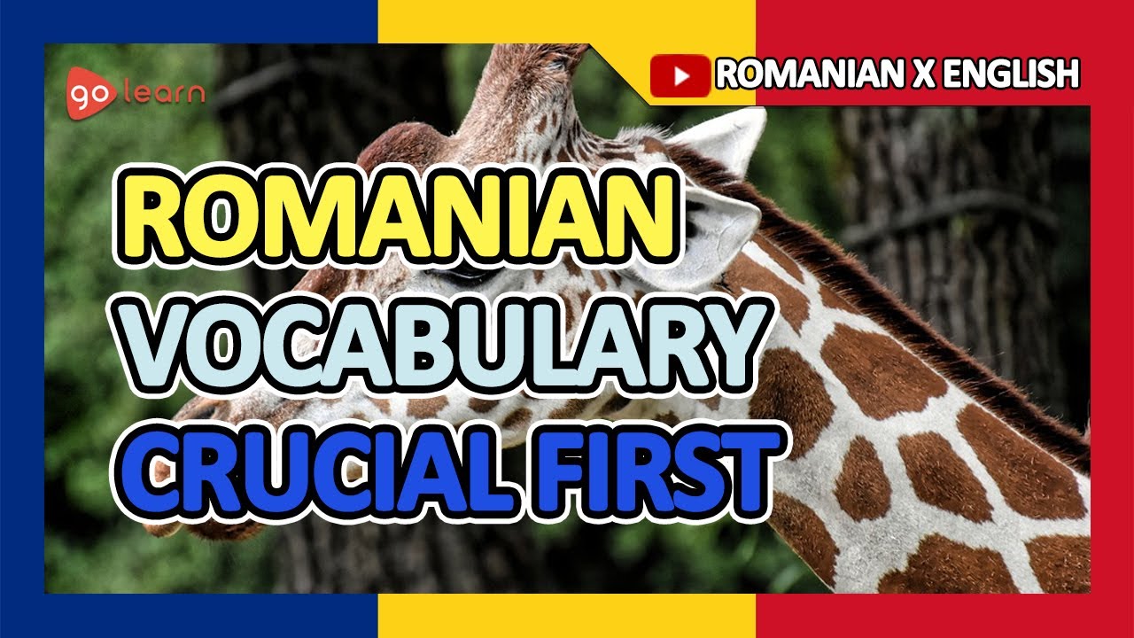 Learn Romanian |Part 8: Romanian Vocabulary Crucial first | Golearn ...