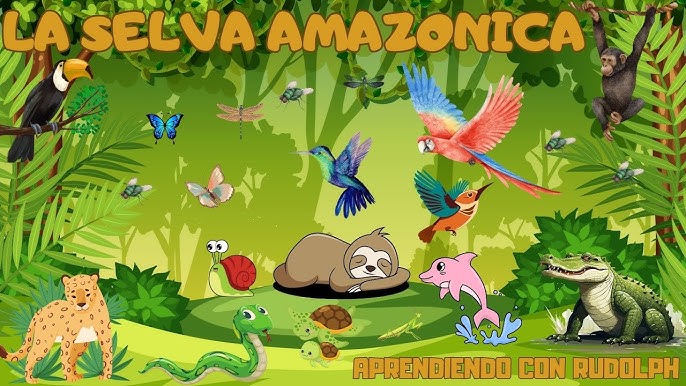 Mapa De La Selva Amazónica Para Niños