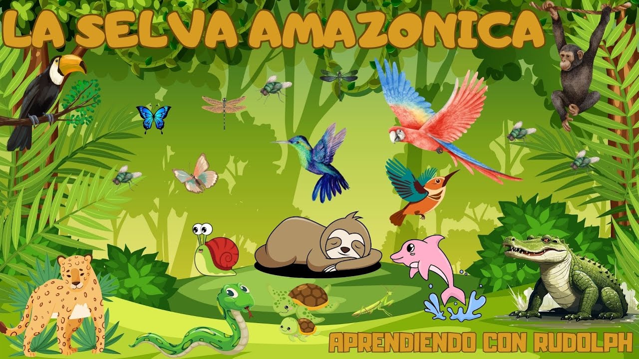La Selva Amazonica // La Amazonia es una de las maravillas naturales ...