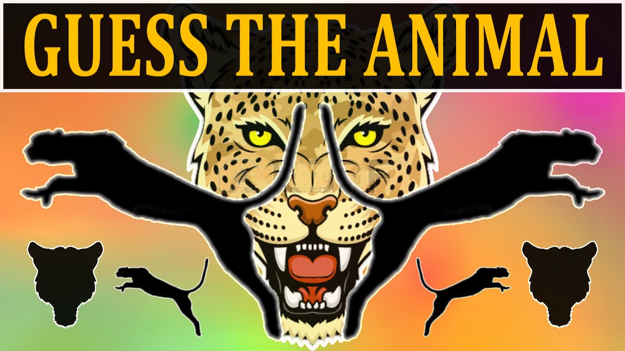 Guess The Animal By Silhouette: Animal Game - YouTube